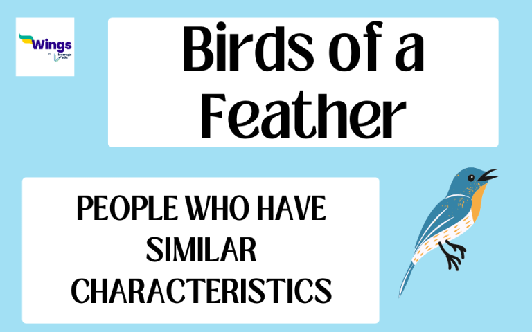 Birds of a Feather Idiom Meaning, Examples, Synonyms - Leverage Edu Explore