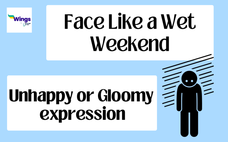 Face Like a Wet Weekend Meaning, Examples, and Synonyms | Leverage Edu ...