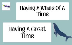 Having a Whale of a Time Meaning with Examples | Leverage Edu Explore