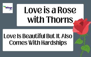 Love is a Rose with Thorns Meaning, Synonyms, Examples | Leverage Edu ...