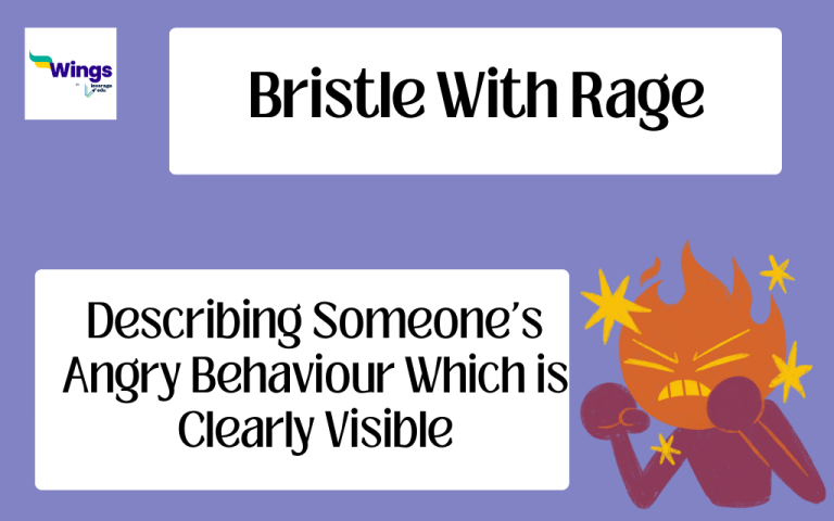 Bristle With Rage Meaning, Examples and Synonyms | Leverage Edu Explore