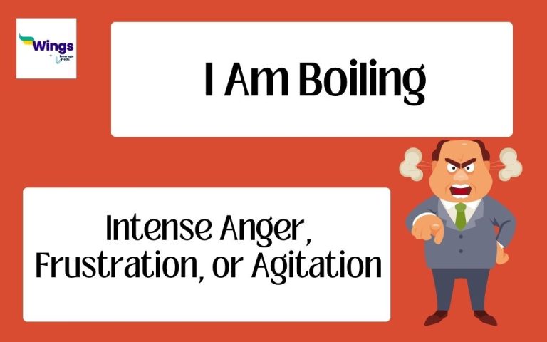 I Am Boiling Meaning, Examples, Synonyms | Leverage Edu Explore