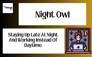 Night Owl Idiom, Usage With Examples, Synonyms | Leverage Edu Explore