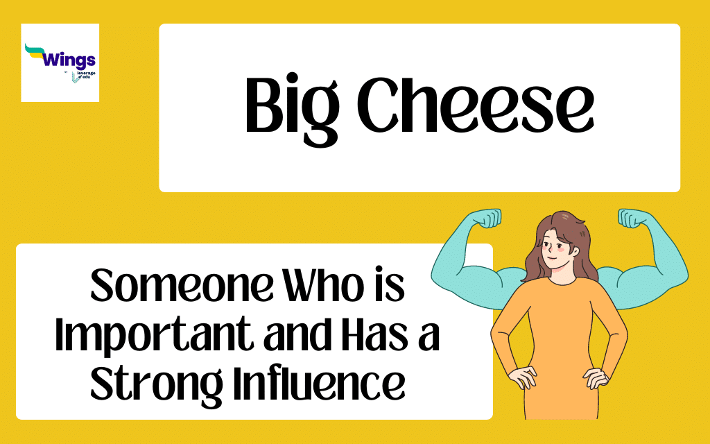 Big Cheese Meaning Examples Synonyms Leverage Edu Explore
