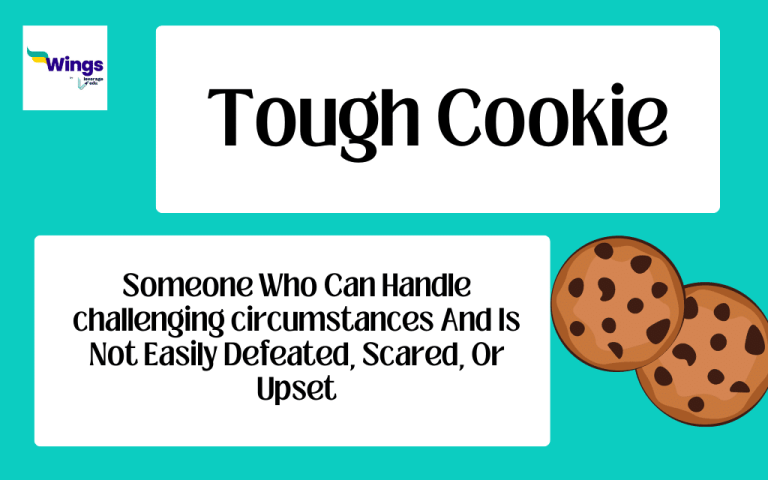 Tough Cookie Meaning, Examples and Synonyms | Leverage Edu Explore