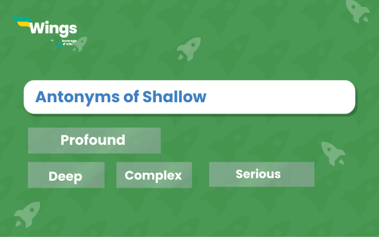 7+ Antonyms of Shallow with Meaning and Examples | Leverage Edu Explore