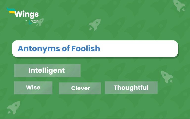 9+ Antonyms of “Foolish” with Meaning and Examples | Leverage Edu Explore