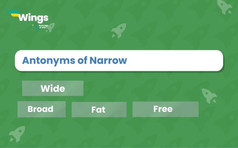 9+ Antonyms of Narrow with Meaning and Examples | Leverage Edu Explore