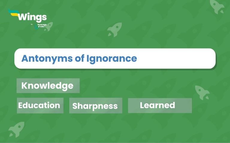 9+ Antonyms of Ignorance with Meaning and Examples | Leverage Edu Explore