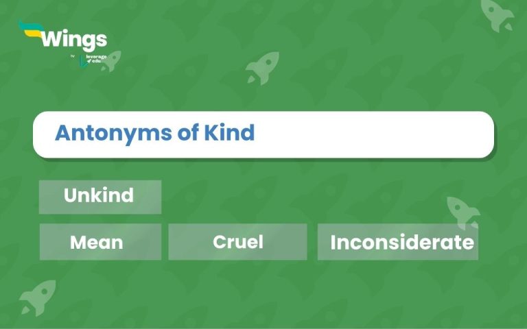 9+ Kind Antonyms with Meaning and Examples | Leverage Edu Explore