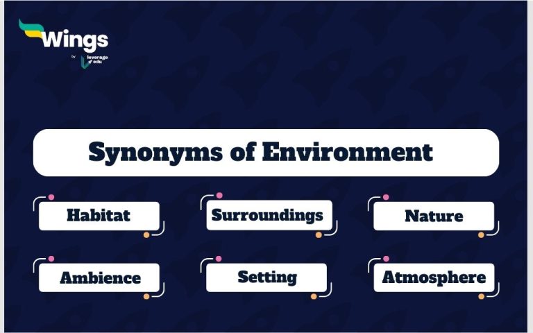 9+ Environment Synonyms with Meaning and Example | Leverage Edu Explore