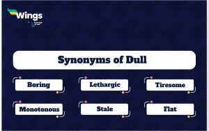 11+ Synonyms of Dull, Meaning, Examples, Quizzes - Leverage Edu Explore
