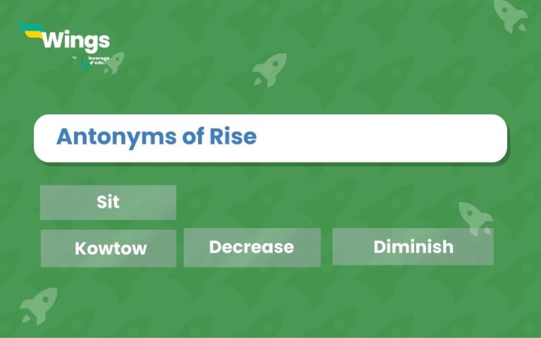 9+ Antonyms of Rise with Meaning and Examples | Leverage Edu Explore