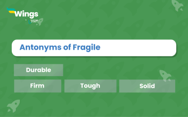 11+ Antonyms of Fragile, Meaning and Examples - Leverage Edu Explore