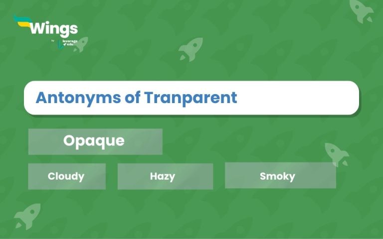 9+ Antonyms of Transparent, with Meanings & Examples | Leverage Edu Explore