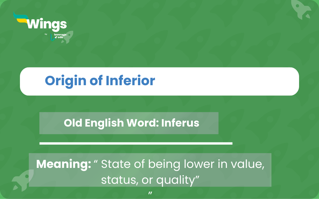 7+ Antonyms of Inferior With Meanings and Examples - Leverage Edu Explore