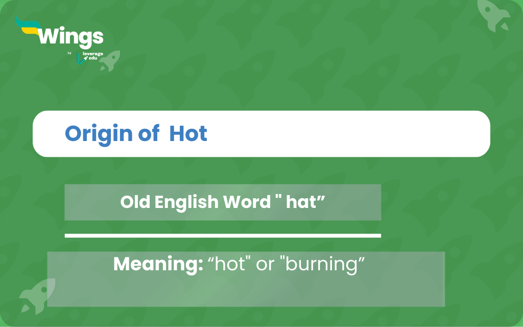 9+ Antonyms of Hot with Examples and Usage - Leverage Edu Explore