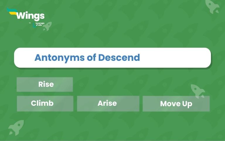 11+ Antonyms of Descend, with Meanings & Examples | Leverage Edu Explore