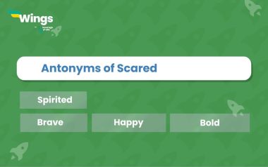 11+ Antonyms of Scared, with Meanings & Example | Leverage Edu Explore