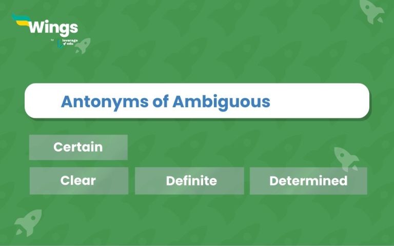 9+ Antonyms of Ambiguous with Meaning and Examples | Leverage Edu Explore
