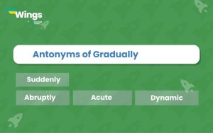 11+ Antonyms of Gradually with Meanings & Example | Leverage Edu Explore