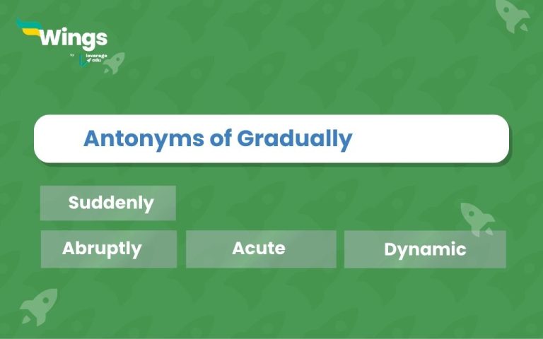 11+ Antonyms of Gradually with Meanings & Example | Leverage Edu Explore