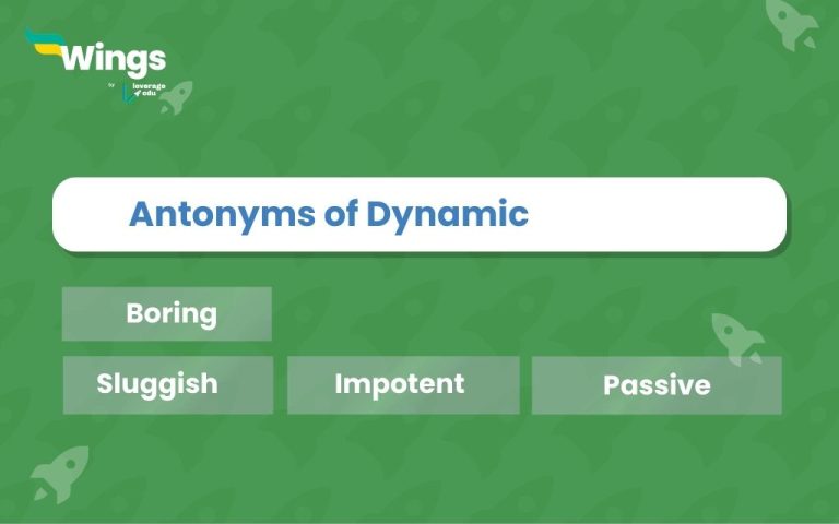 11+ Antonyms of Dynamic, with Meanings & Example | Leverage Edu Explore