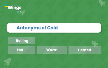 9+ Antonyms of Cold, with Meanings & Example | Leverage Edu Explore
