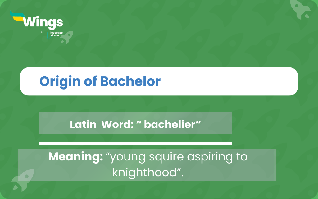 7+ Antonyms of Bachelor with Meanings and Examples - Leverage Edu Explore