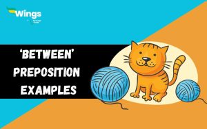 9+ Between Preposition Examples, Meaning & Usage | Leverage Edu Explore