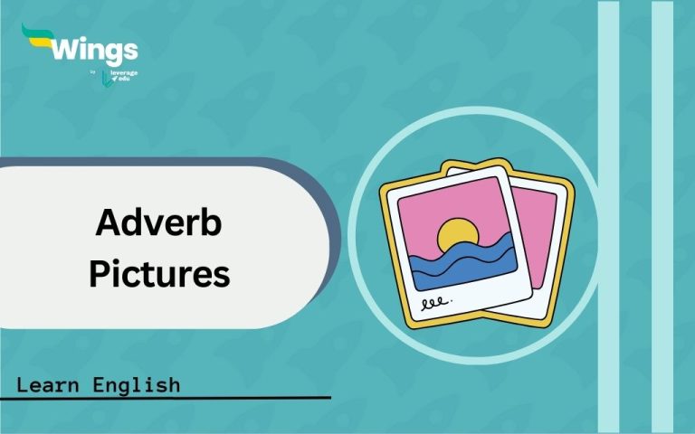 Adverb Pictures of Each Type with Examples for Fun Learning (Free ...
