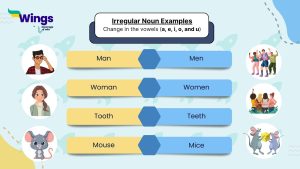 Irregular Nouns Guide: Examples, Plurals & Quick Practice - Leverage ...