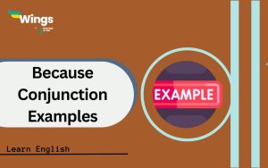 19+ Because Conjunction Examples That You Must Know! - Leverage Edu Explore