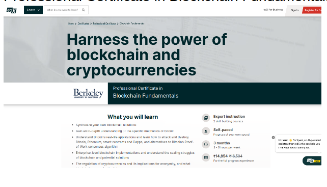 10 Best Blockchain Courses Online with Certifications - Leverage Edu ...