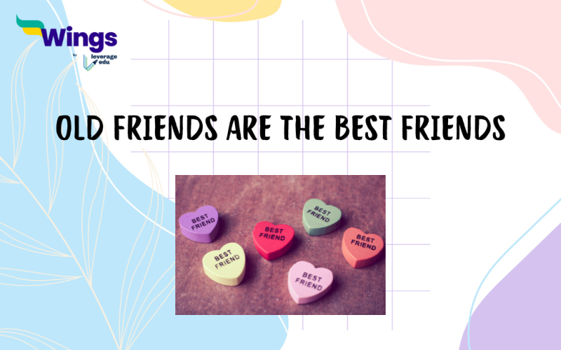 11+ Best Idioms for Friendship in English for Everyday |Leverage Edu ...