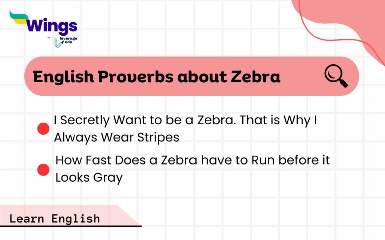 11+ English Proverbs about Zebra with Meaning | Leverage Edu Explore