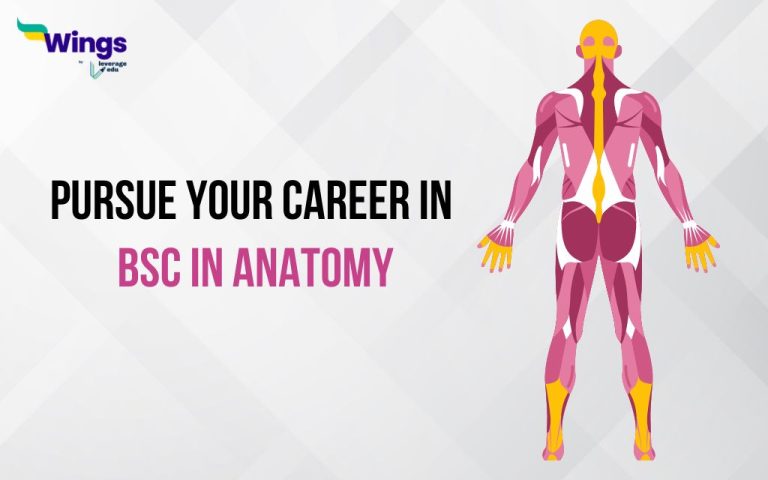 BSc Anatomy: Jobs, Scope, Salary, Syllabus | Leverage Edu Learn