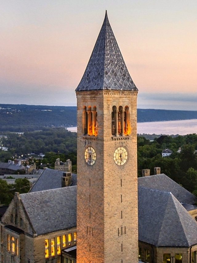 Cornell University Tata Scholarship - Leverage Edu Learn