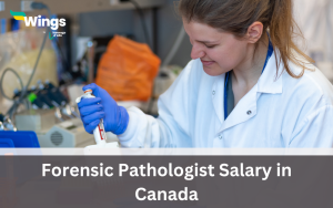 A Breakdown of Forensic Pathologist Salaries in Canada 2025 | Leverage ...