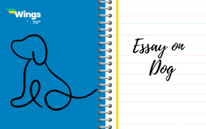 Essay On Peace for School Students: Samples in 100, 200, 300, and 500 ...