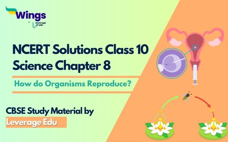 Top 10 Easy Science Projects for Class 7 Students (With Examples ...