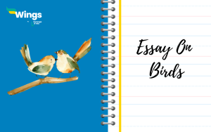 Essay on My Memorable Day in Life (100, 150, 200 Words) - Leverage Edu ...