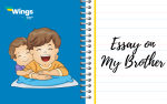 Essay on My Brother: Samples in 150 and 250 Words | Leverage Edu Discover