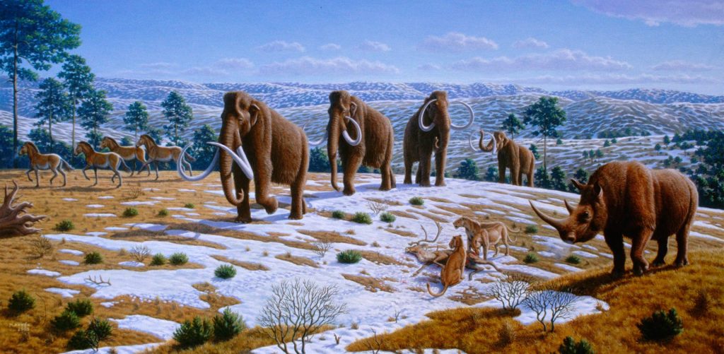 Major Climatic Change After Ice Age | Leverage Edu Discover