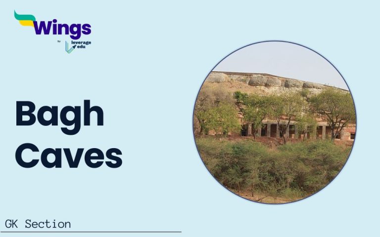 Everything You Need to Know About Bagh Caves - Leverage Edu Discover