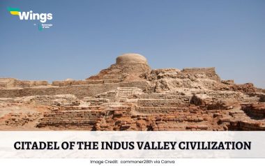 Citadel of the Indus Valley Civilization: History and Facts - Leverage ...